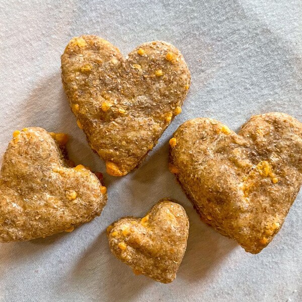 Dog Shaped Cookies for Humans - Etsy