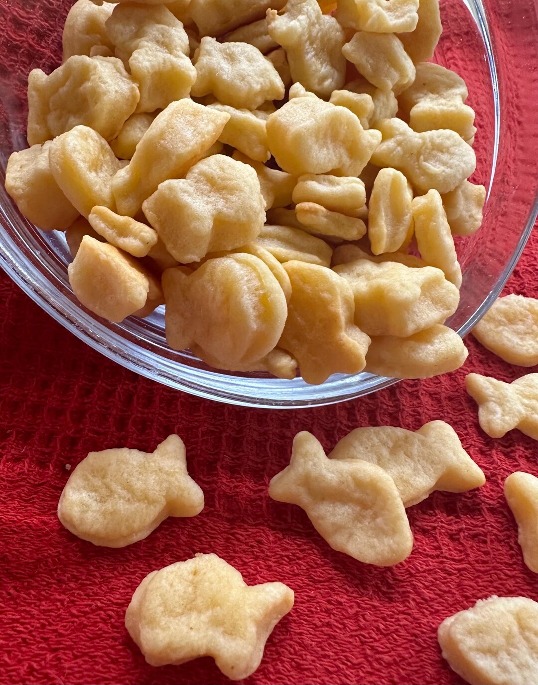 Cheddar Cheese “gold Fish” Dog Treats| Gourmet, High-quality Dog ...