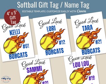 Softball Team Gift - 60+ Gift Ideas for 2024