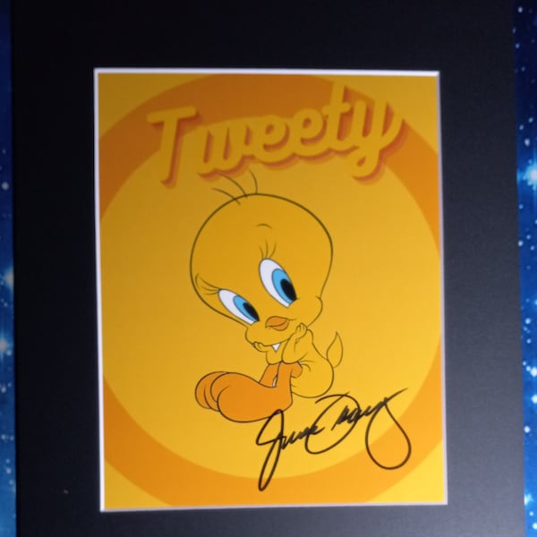 Tweety Bird Frame - Etsy