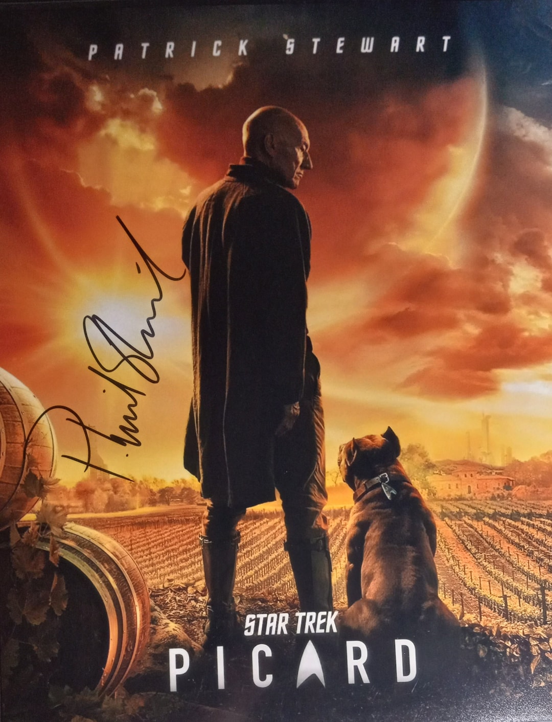 Patrick Stewart Authentic Signed 11x14 Photograph + 3rd Party ...