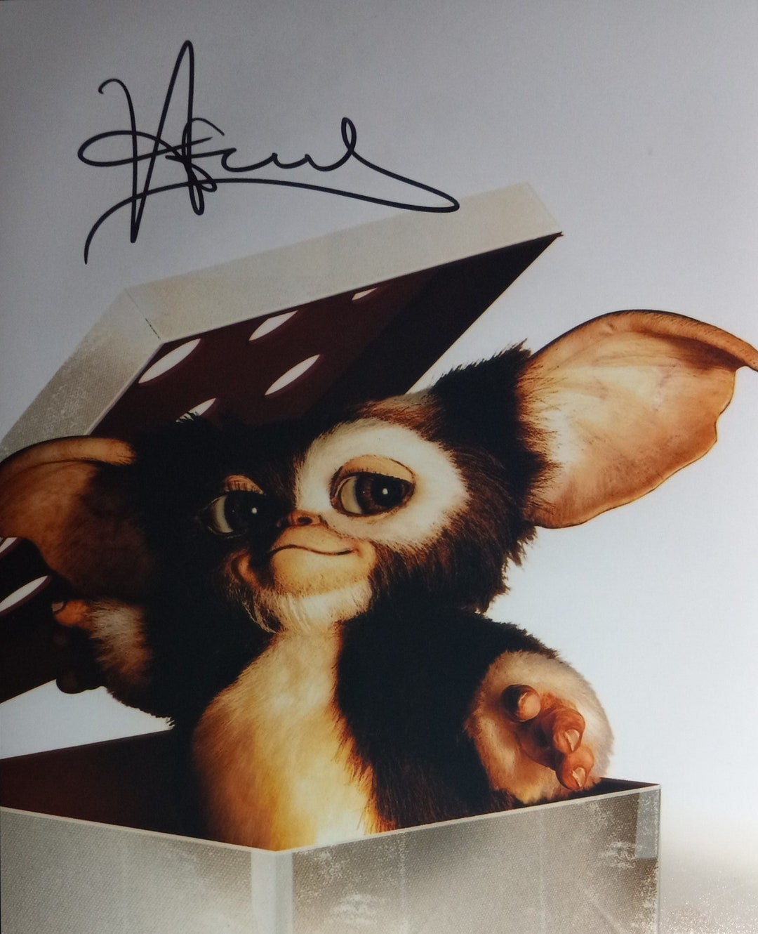 Howie Mandel Authentic Signed 8x10 Photo W/ Lighthouse COA - Gremlins ...