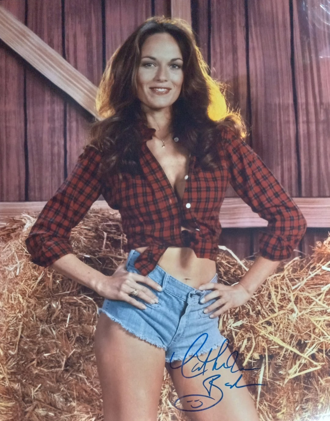 Catherine Bach 11x14 Authentic Signed Photo W/ Lighthouse COA Daisy Duke Dukes of Hazzard - Etsy