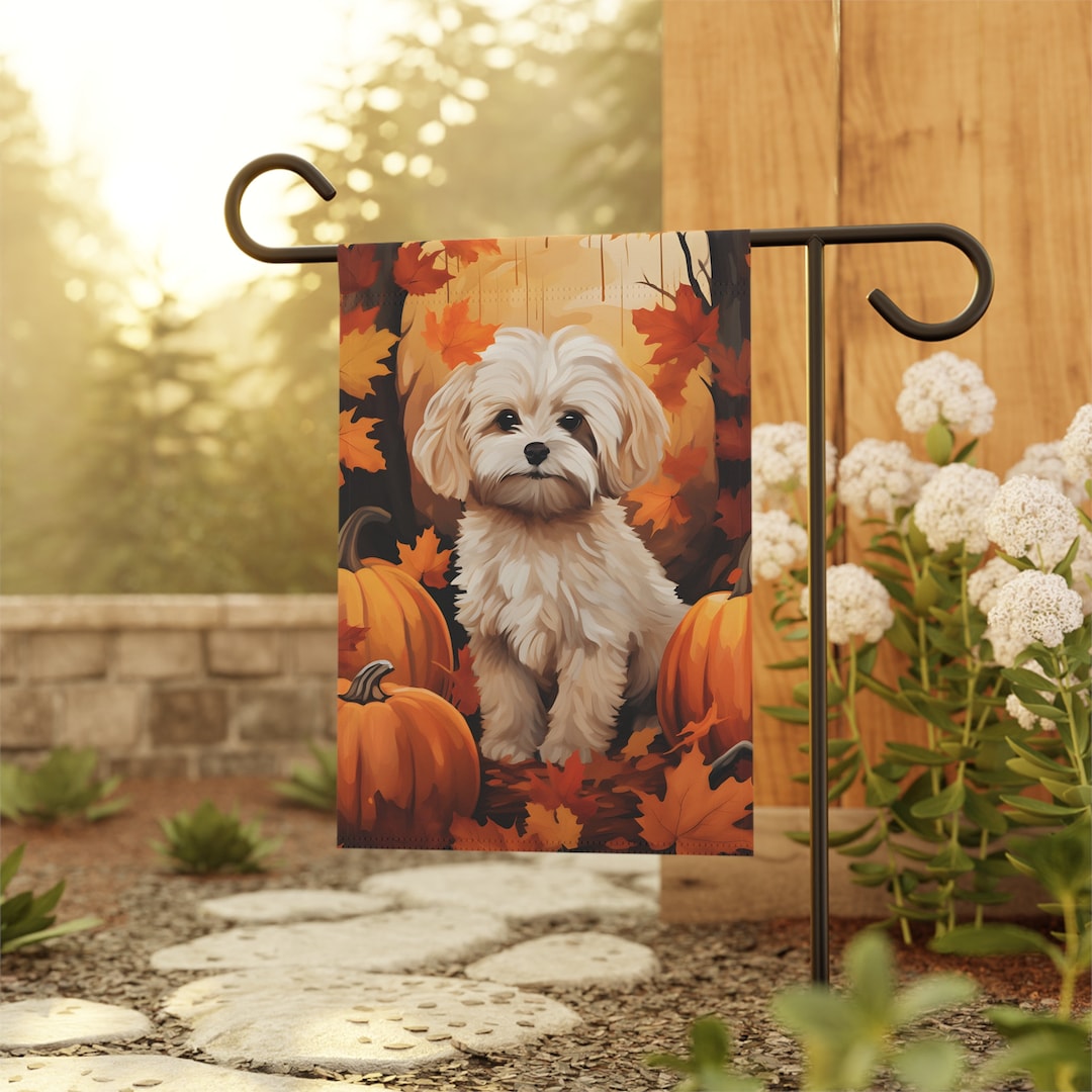 Maltipoo Fall Pumpkin Garden Flag, Maltipoo Mom Gifts, Fall Dog Lover ...