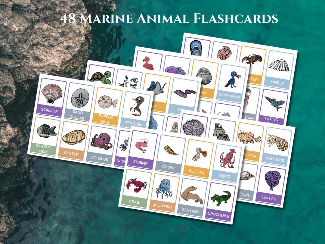 Marine Animal Flashcards – Fun & Educational Ocean-themed Learning ...