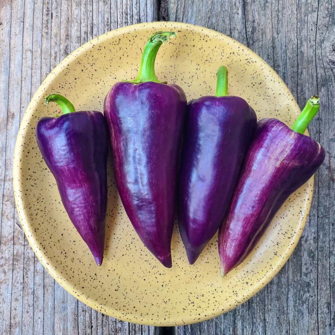 VIOLET SPARKLE PEPPER Seeds Rare Heirloom Usa Non Gmo - Etsy