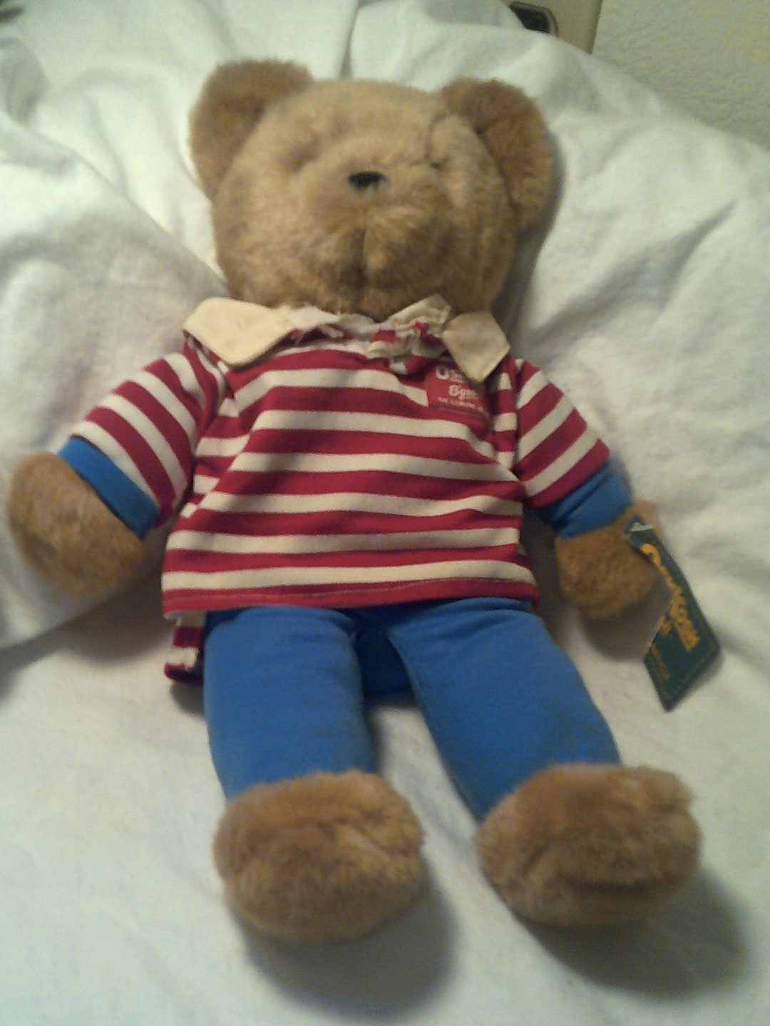Vintage OSH KOSH BEAR Plush Please Adopt This Lovable Well Cared for ...