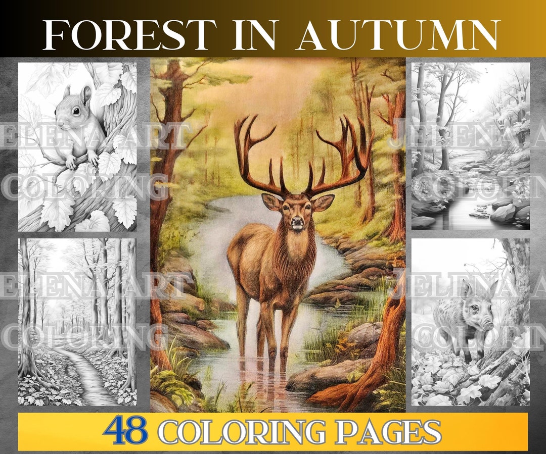 Fall Coloring Book Adult "forest in the Fall". 48 Grayscale Coloring ...