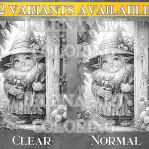 Gnomes Life, Grayscale Coloring Book Adult. Whimsical World of Gnomes ...