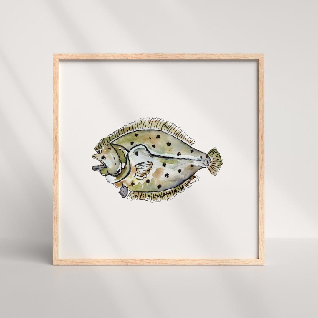 Watercolor Flounder Print: Coastal Beach House Wall Art - Etsy