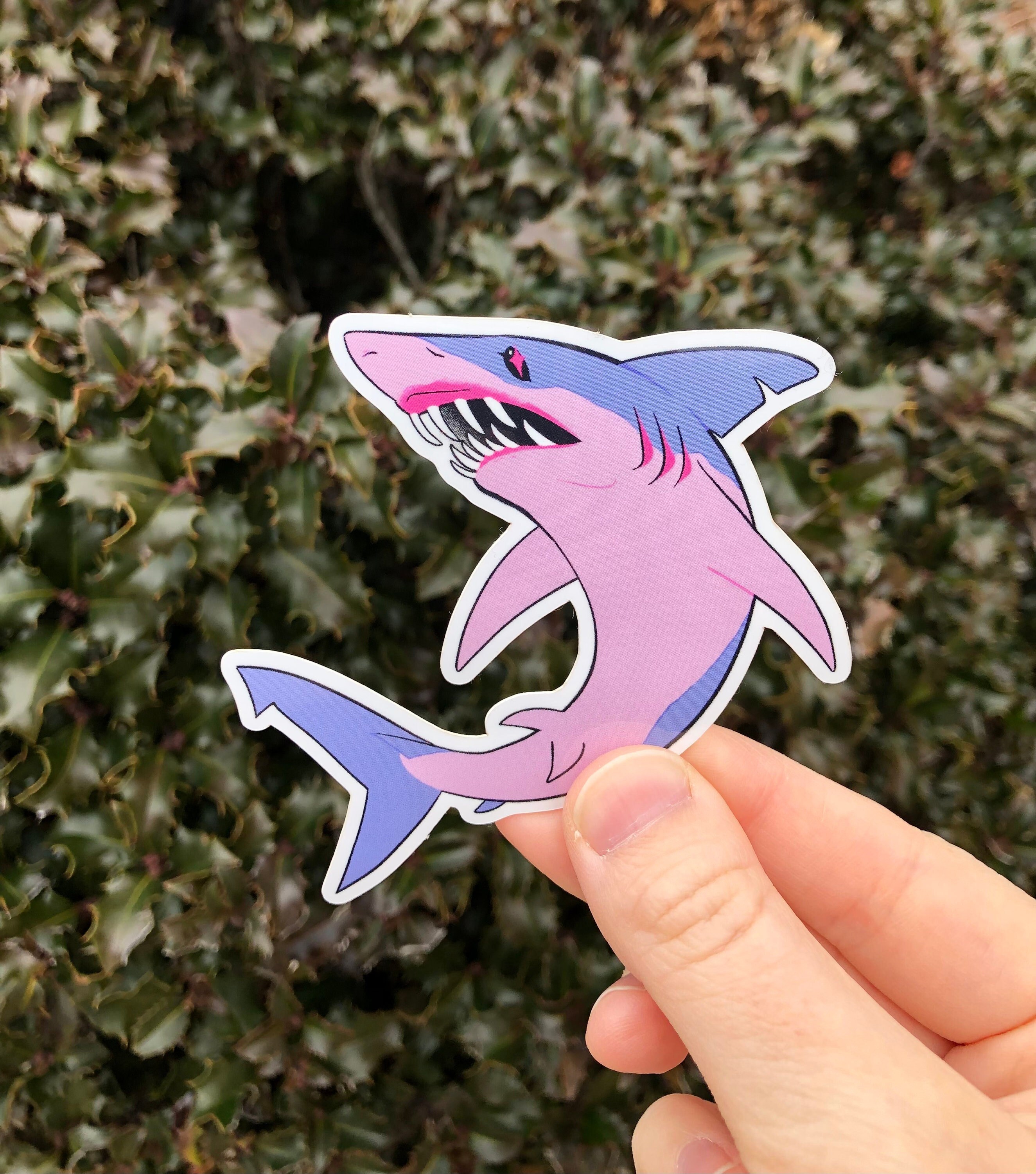 Mako Shark Sticker - Etsy