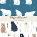 Bear Patterns Bear Theme Bear Themed Room Commercial Use Bear Digital ...