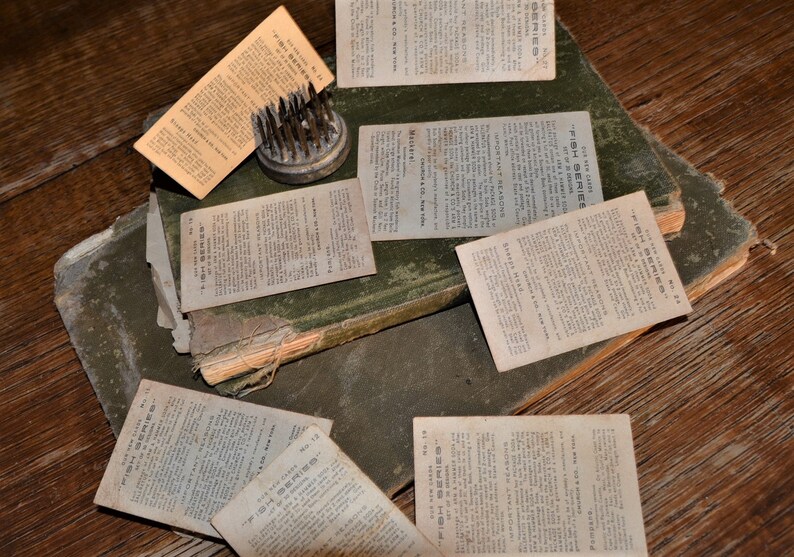 Collectibles Lot of 8 antique FISH TRADING CARDS 1900 Arm & Hammer ...