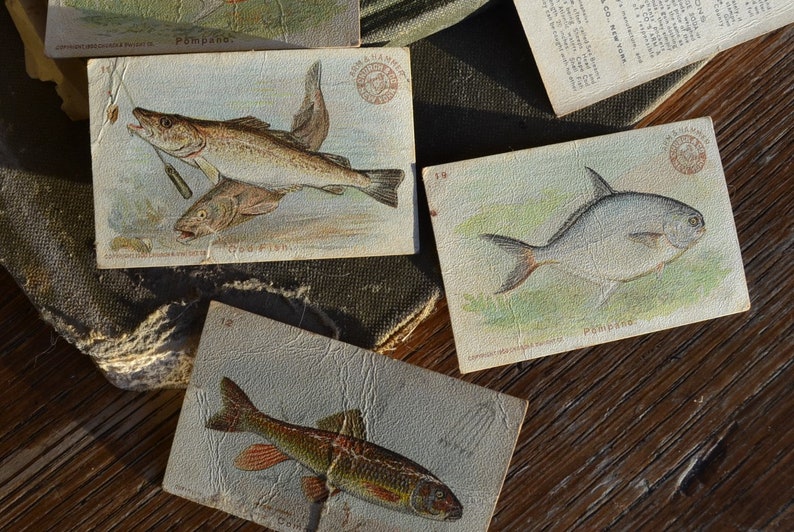 Collectibles Lot of 8 antique FISH TRADING CARDS 1900 Arm & Hammer ...