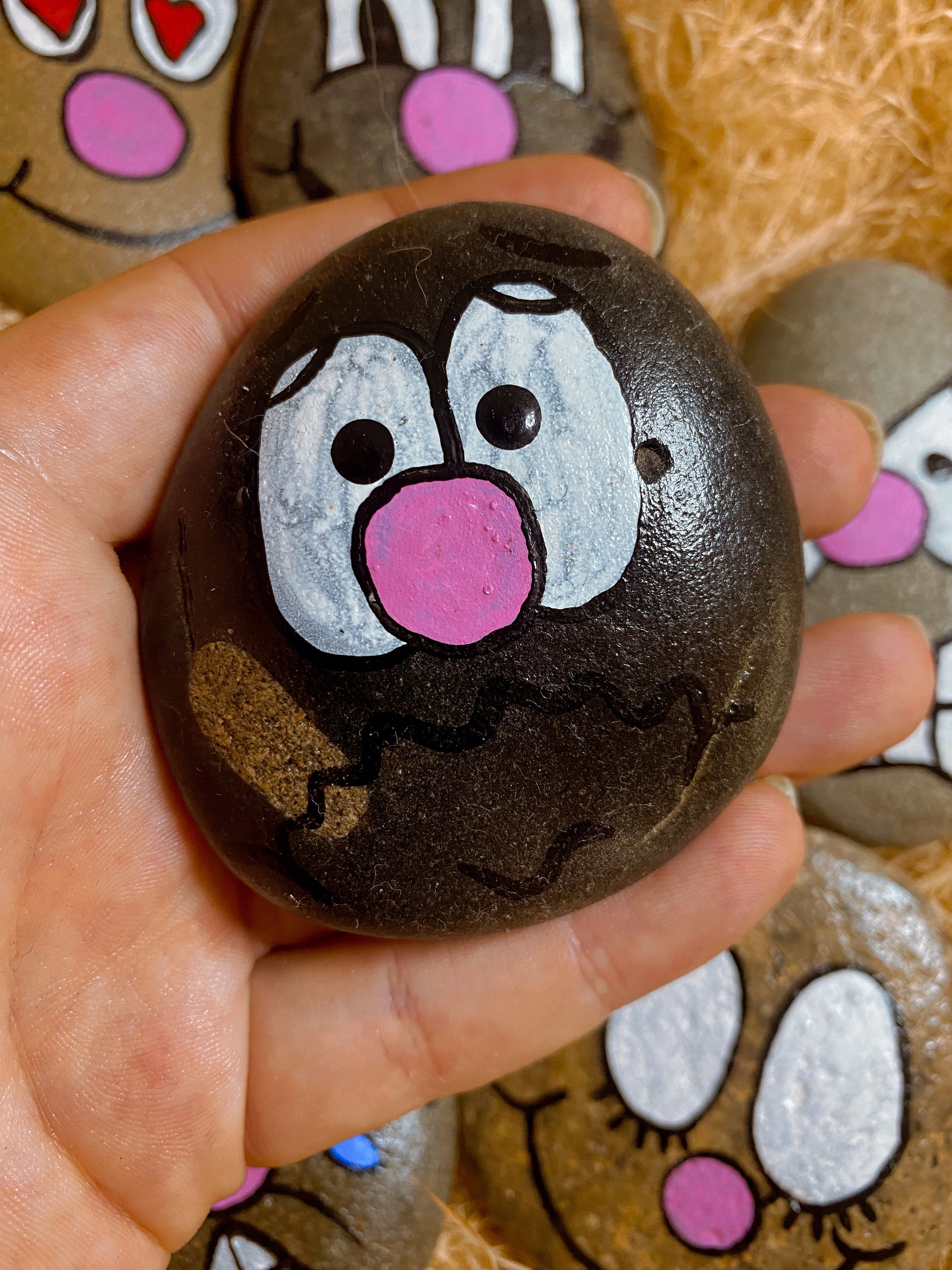 Montessori Emotion Stone Set Emotional Intelligence Education - Etsy