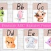 ABC Animal Poster | Preschool Learning Posters | Homeschool Resources ...