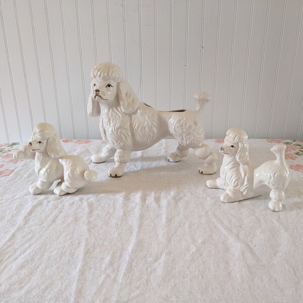 Poodle Planter - Etsy