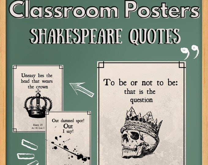 English Classroom Decor - Middle and High School Classroom Posters ...