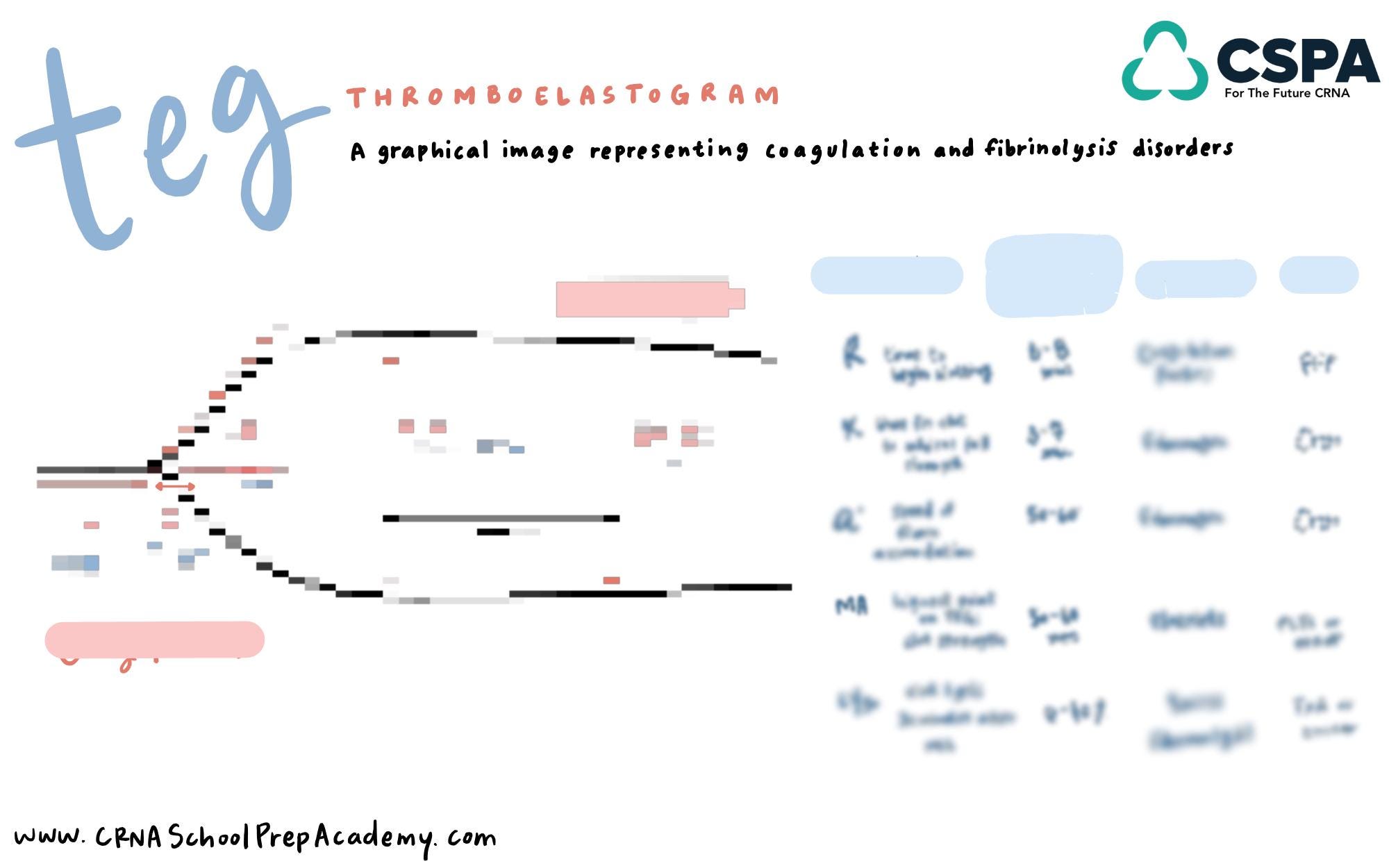 TEG (thromboelastogram) Infographic on Coagulation & Fibrinolysis ...