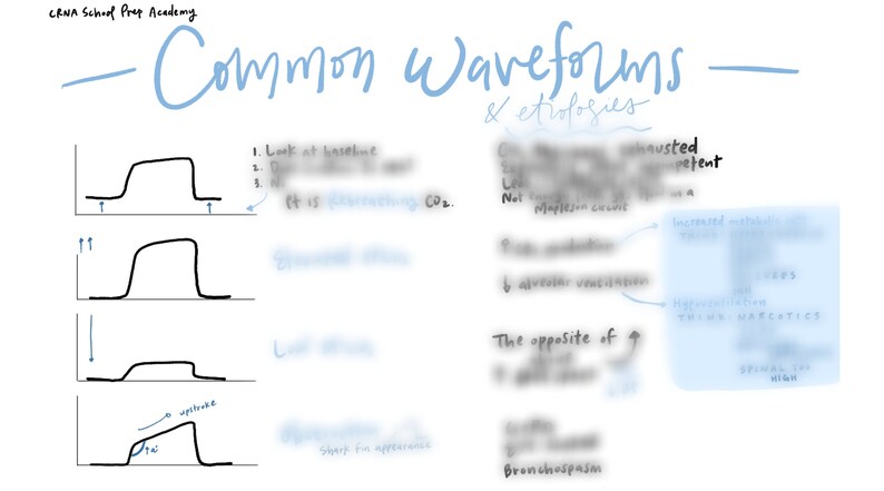 Capnography Info Graphic Study Guide - Etsy