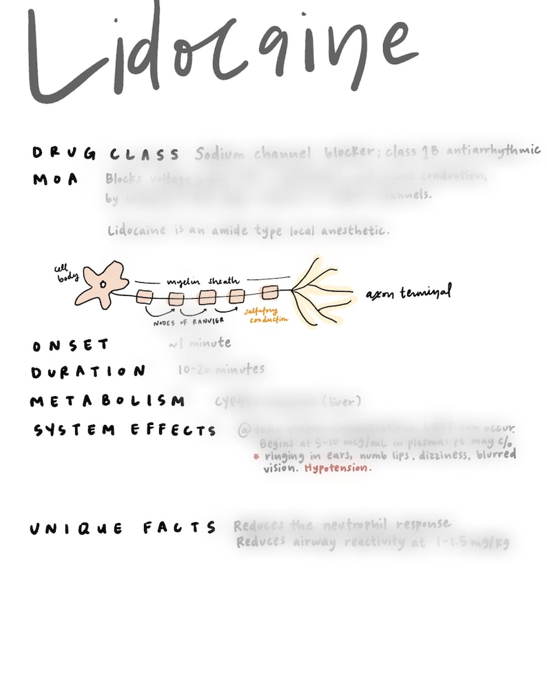 Anesthesia Induction Drugs Reference & Study Guide - Etsy