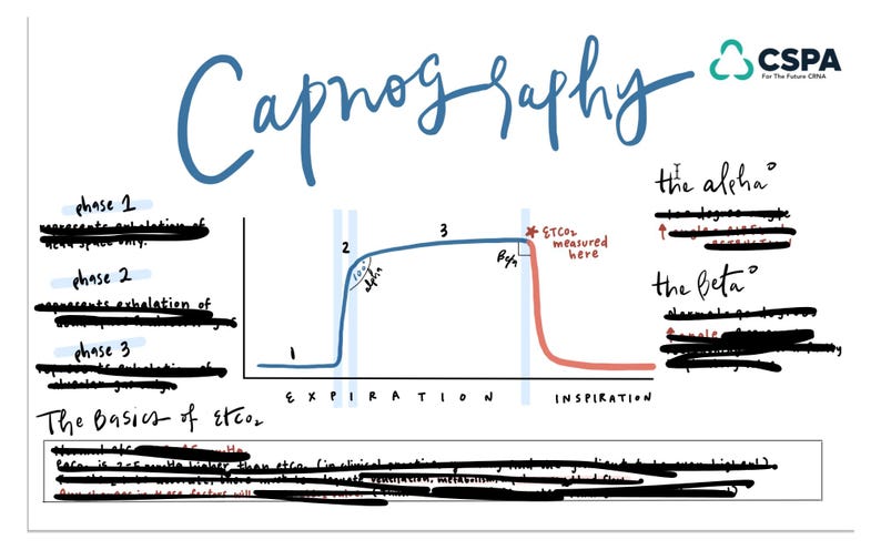 Capnography Info Graphic Study Guide - Etsy