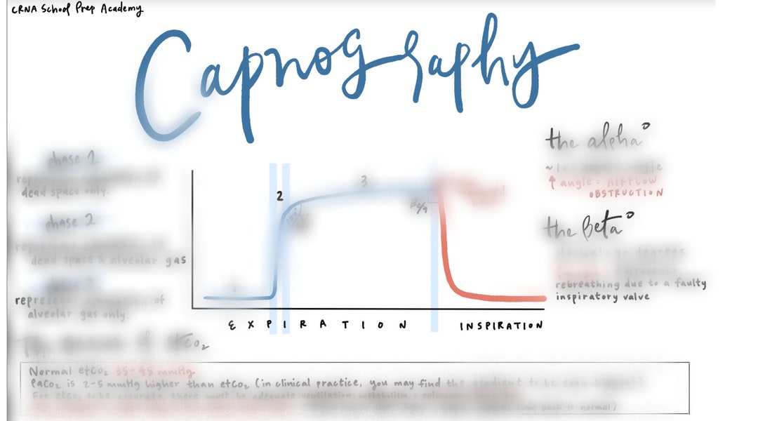 Capnography Info Graphic Study Guide - Etsy