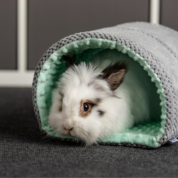 Rabbit Tunnel - Etsy