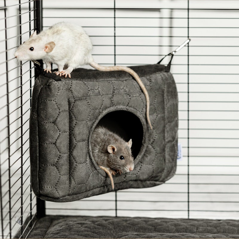 Chinchilla Toy - Etsy