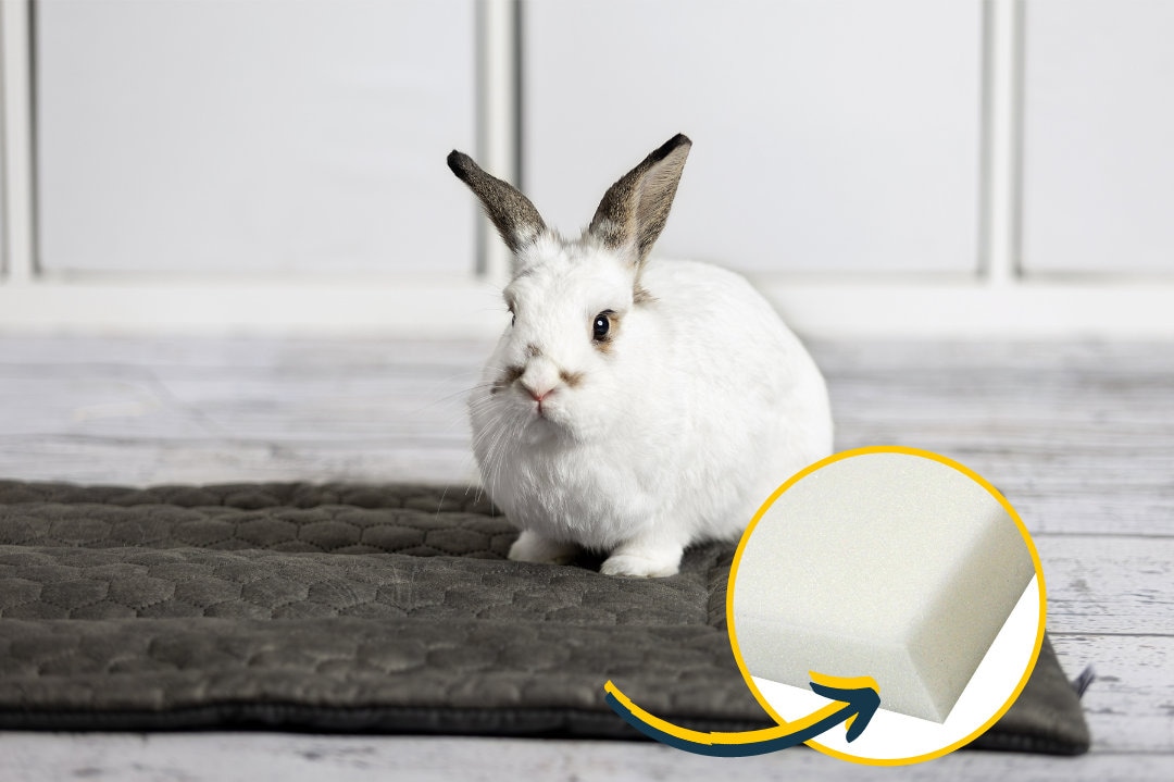 Cage Mat - Upholstery Sponge for Rabbits, Guinea Pigs, Hedgehog, Rat ...