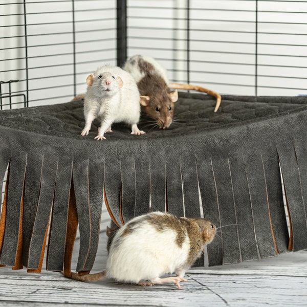 Rat Accessories - Etsy