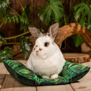 Cute Rabbit Bed, Snuggle Bed for Rabbits, Bunny, Ferrets - Bunny Flop ...