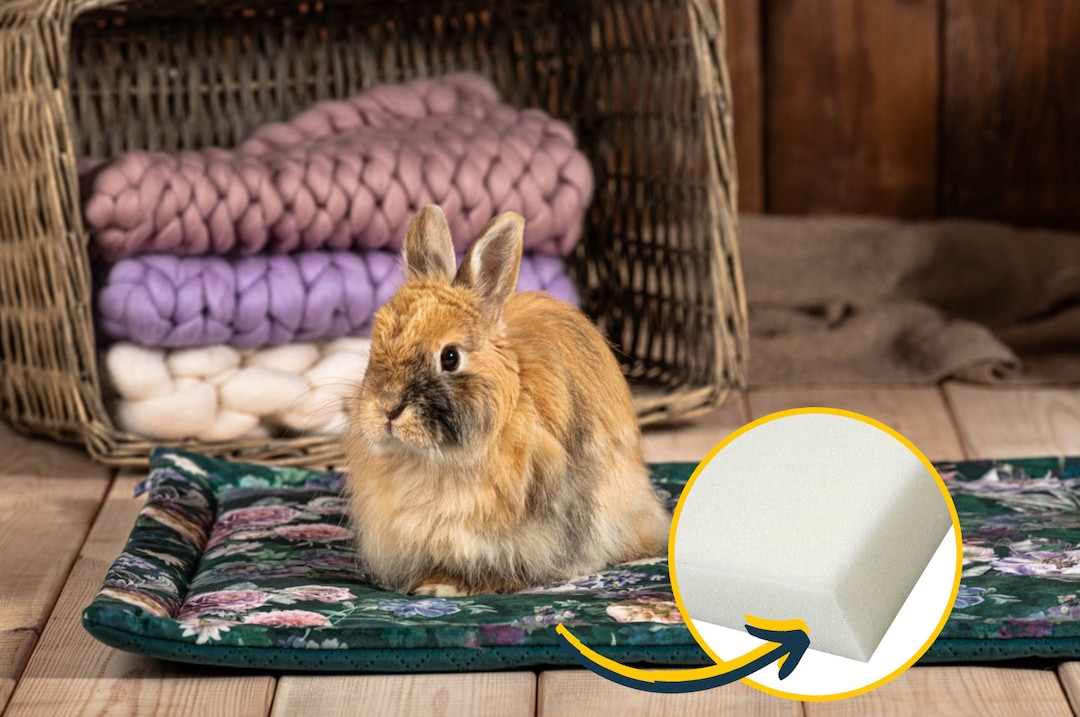 Cage Mat Upholstery Sponge for Rabbits, Guinea Pigs, Hedgehog, Rat ...