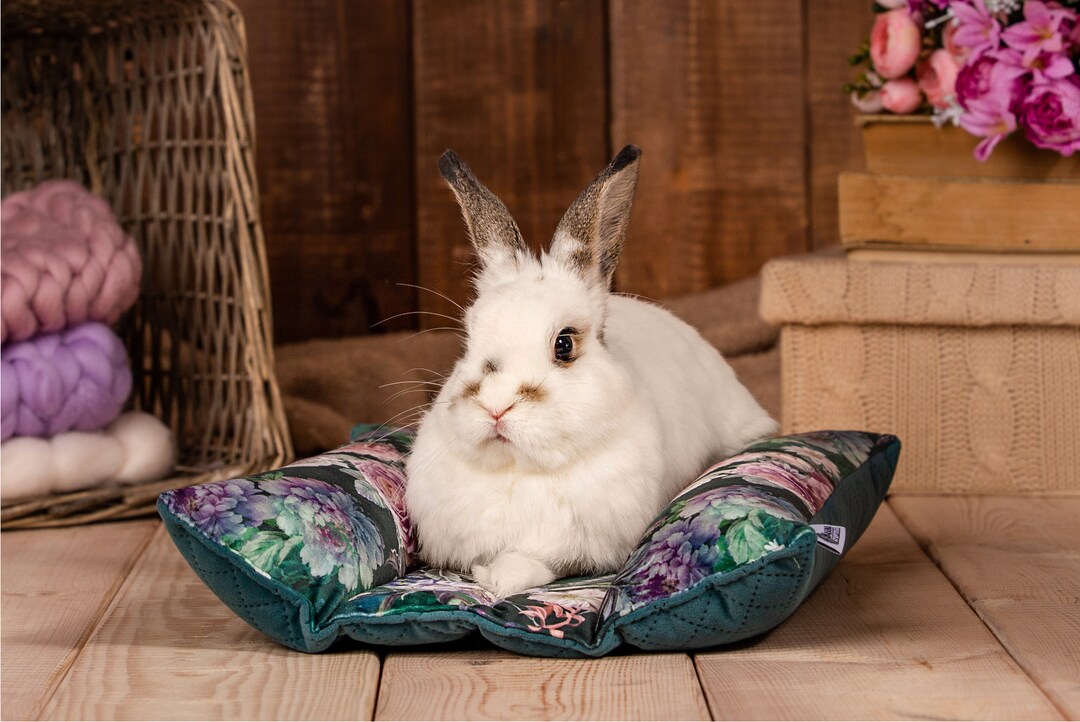 Snuggle Bed for Rabbits, Bunny, Rabbit Pillow, Ferrets Pillow - Etsy