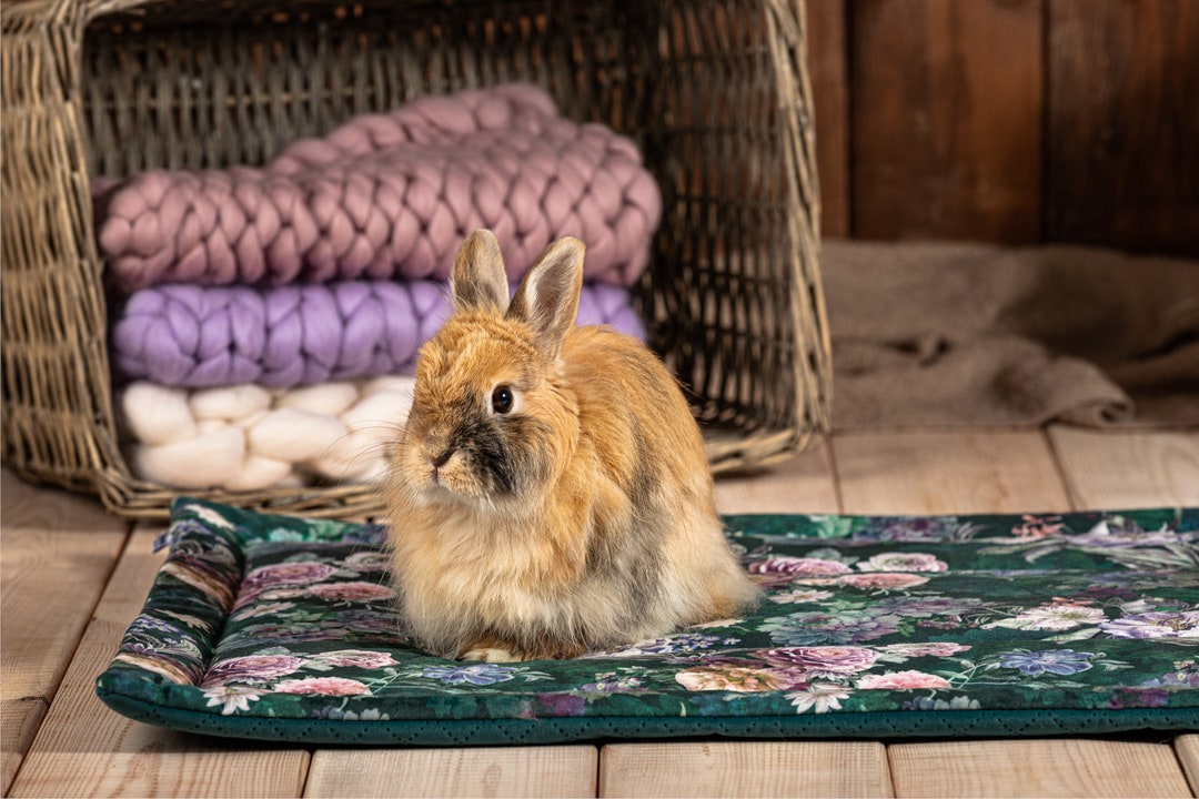 Cage Liner Mat for Rabbits, Guinea Pigs, Hedgehog, Rat, Chinchillas ...