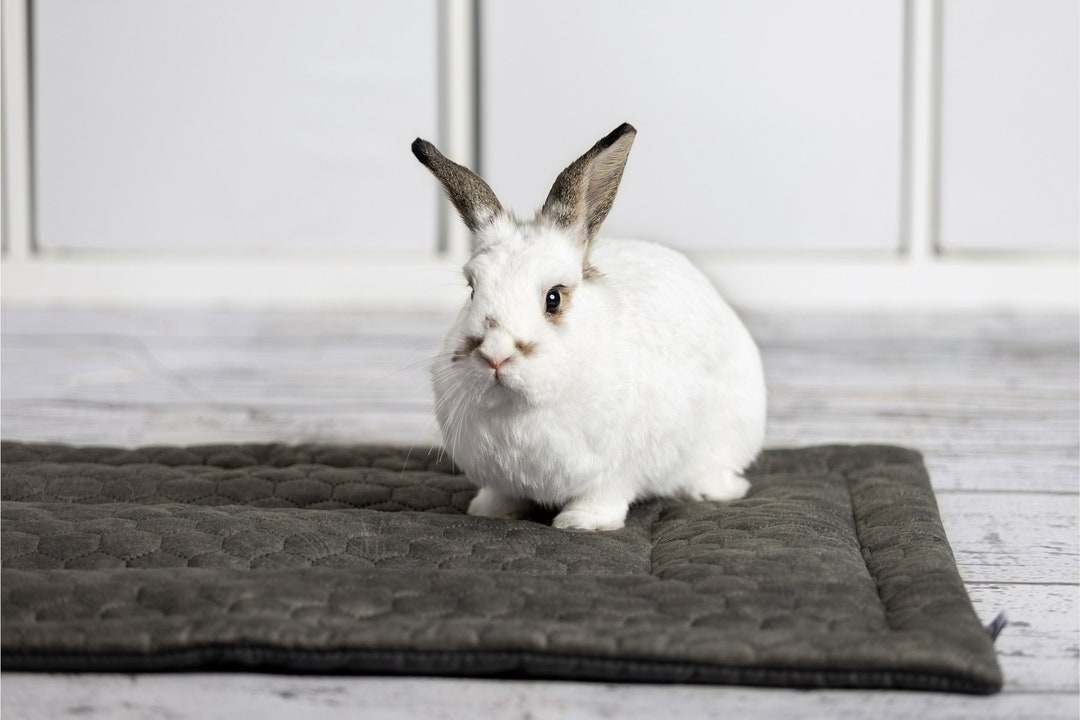 Custom Made Cage Liner Mat for Rabbits, Guinea Pigs, Hedgehog, Rat ...