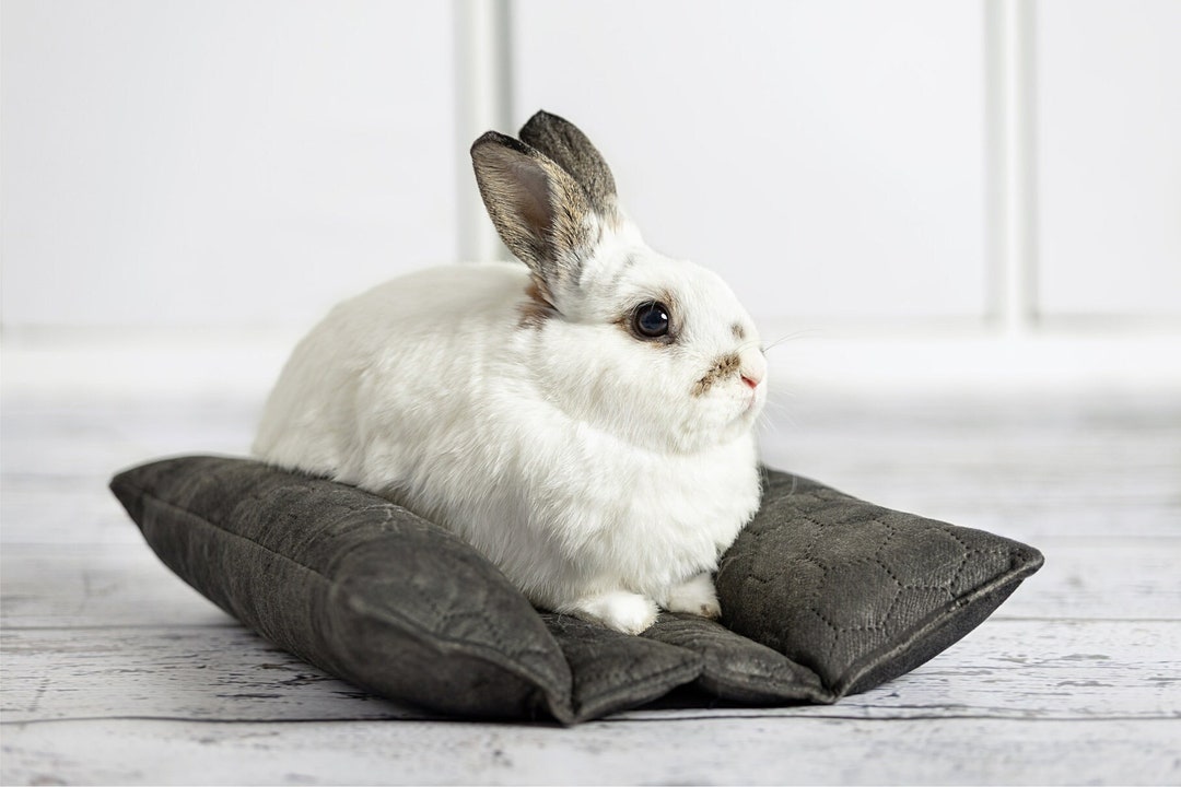 Bunny Snug Bed, Cute Rabbit Bed, Pillow for Rabbits and Ferrets - Easy ...