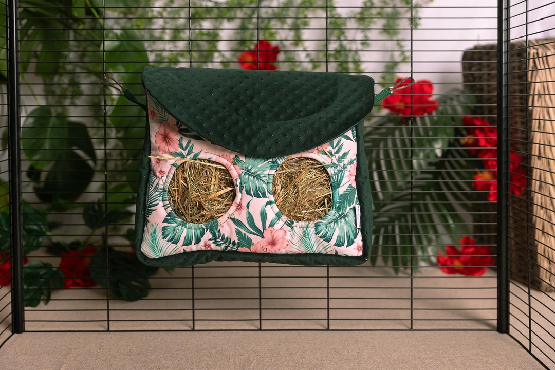 Tropical Hay Feeder With Flap for Rabbits, Guinea Pigs, and Chinchillas ...