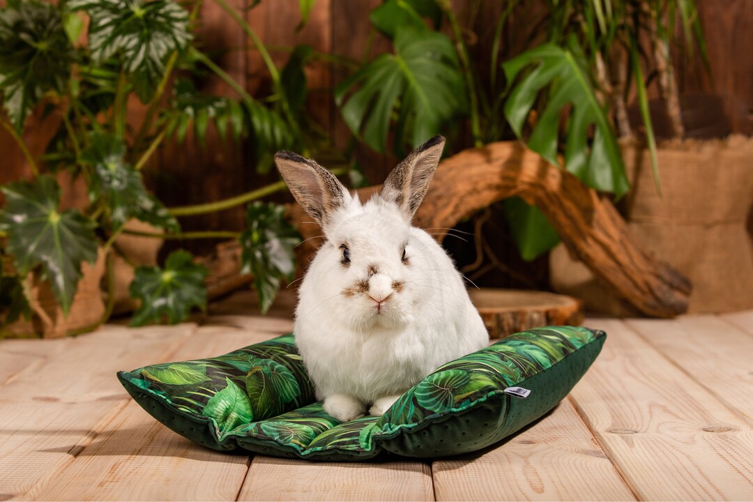 Cute Rabbit Bed, Snuggle Bed for Rabbits, Bunny, Ferrets - Bunny Flop ...