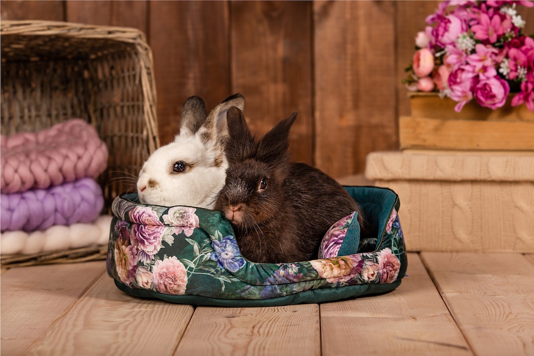 3 Sizes - Green Cuddle Cup Bed for Rabbit, Rodents, Rabbit Cage ...