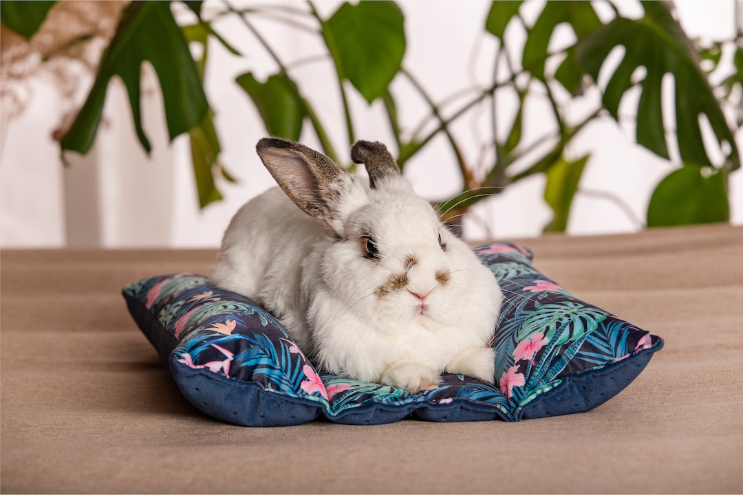 Bunny Snug Bed, Cute Rabbit Bed, Pillow for Rabbits and Ferrets Flop ...