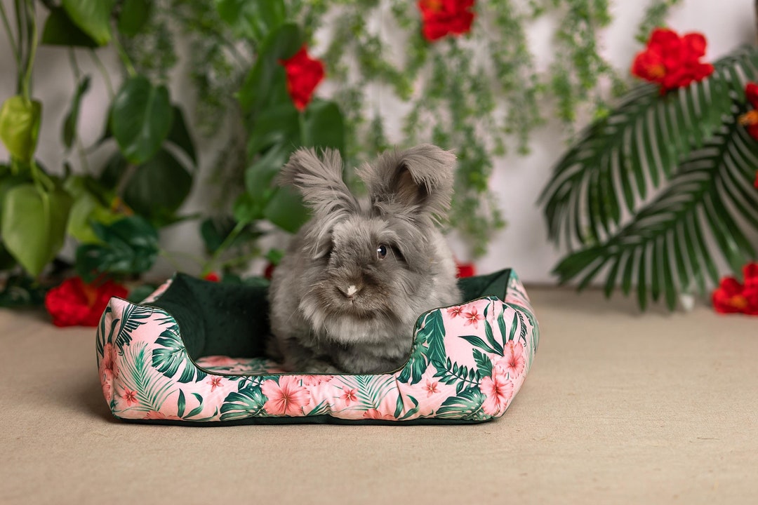 Tropical Bunny Sofa Bed With Removable Pillow - Snug Sleep Bed for ...