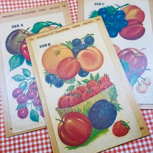 Duro Water-slide Fruit Decal Sets - Etsy