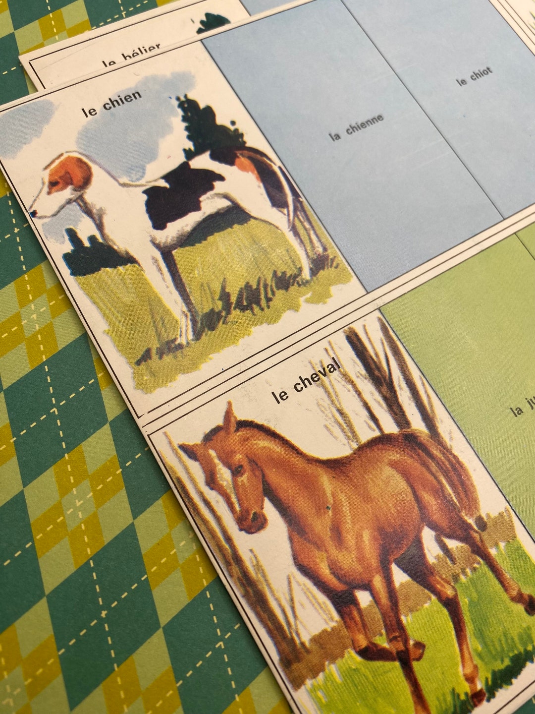 French Animal Lotto Game Board - Etsy