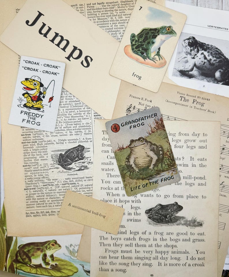Animal Theme Ephemera Kits - Etsy
