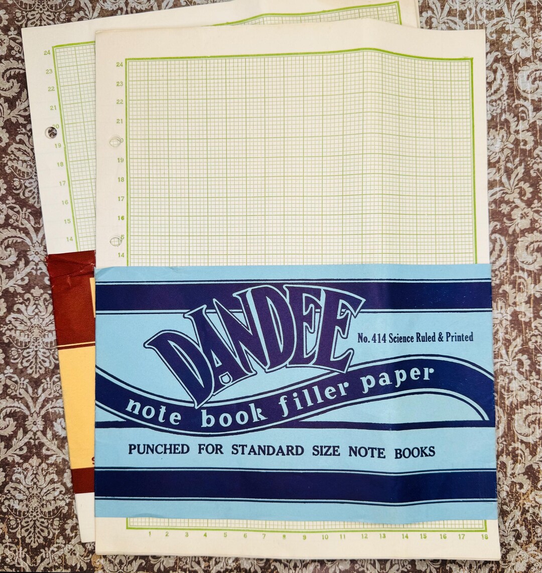 Graphing Paper - Etsy