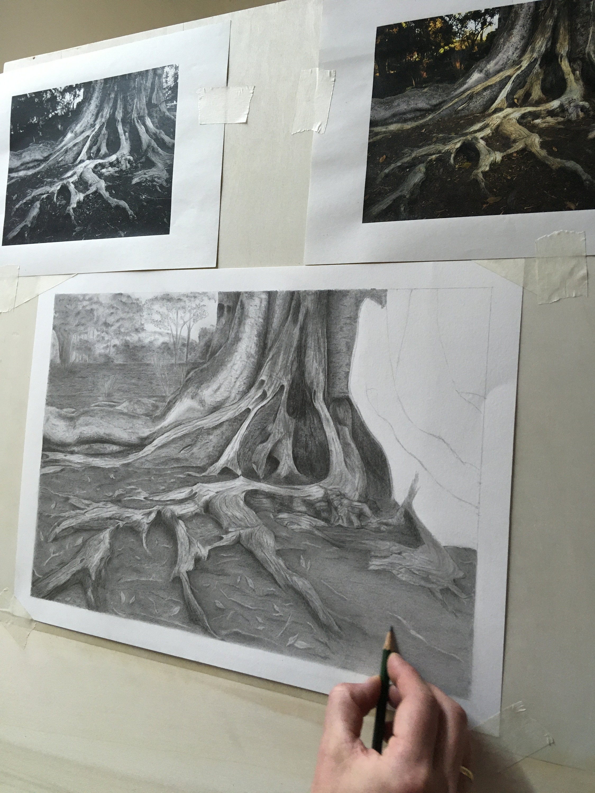 Dibujo a Lápiz de un Arbol, Decoración de pared, Láminas de dibujo ...