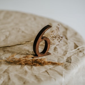 Rustic Table Numbers 1 - 100 for Farmhouse Weddings, Elegant Wood Table ...