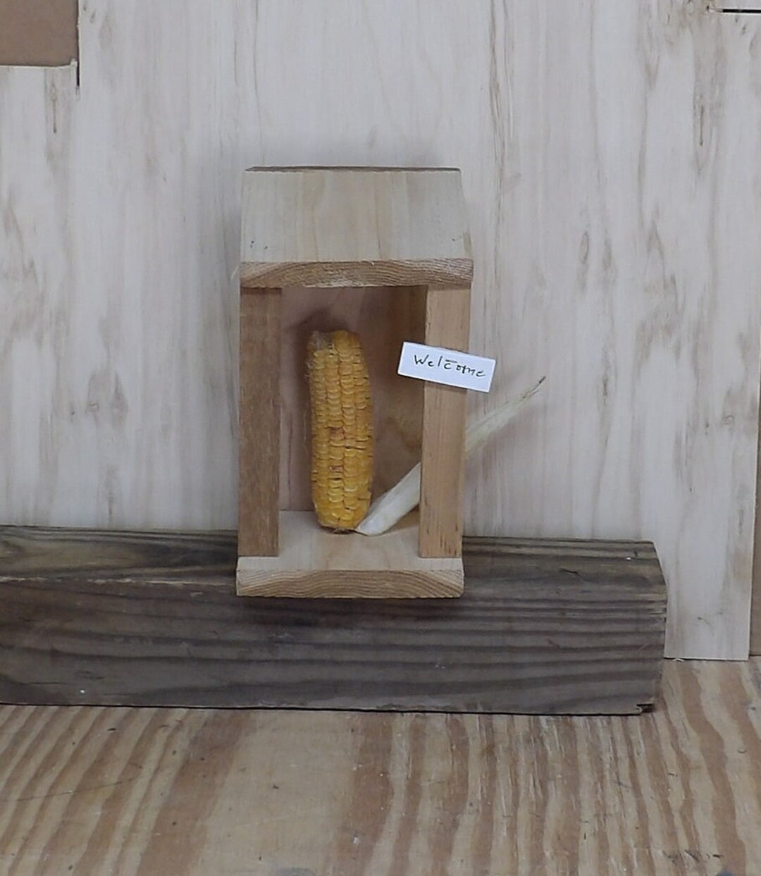 Small Cider Squirrel Feeder Accommodates up to 6 Inch Ear of Corn. - Etsy