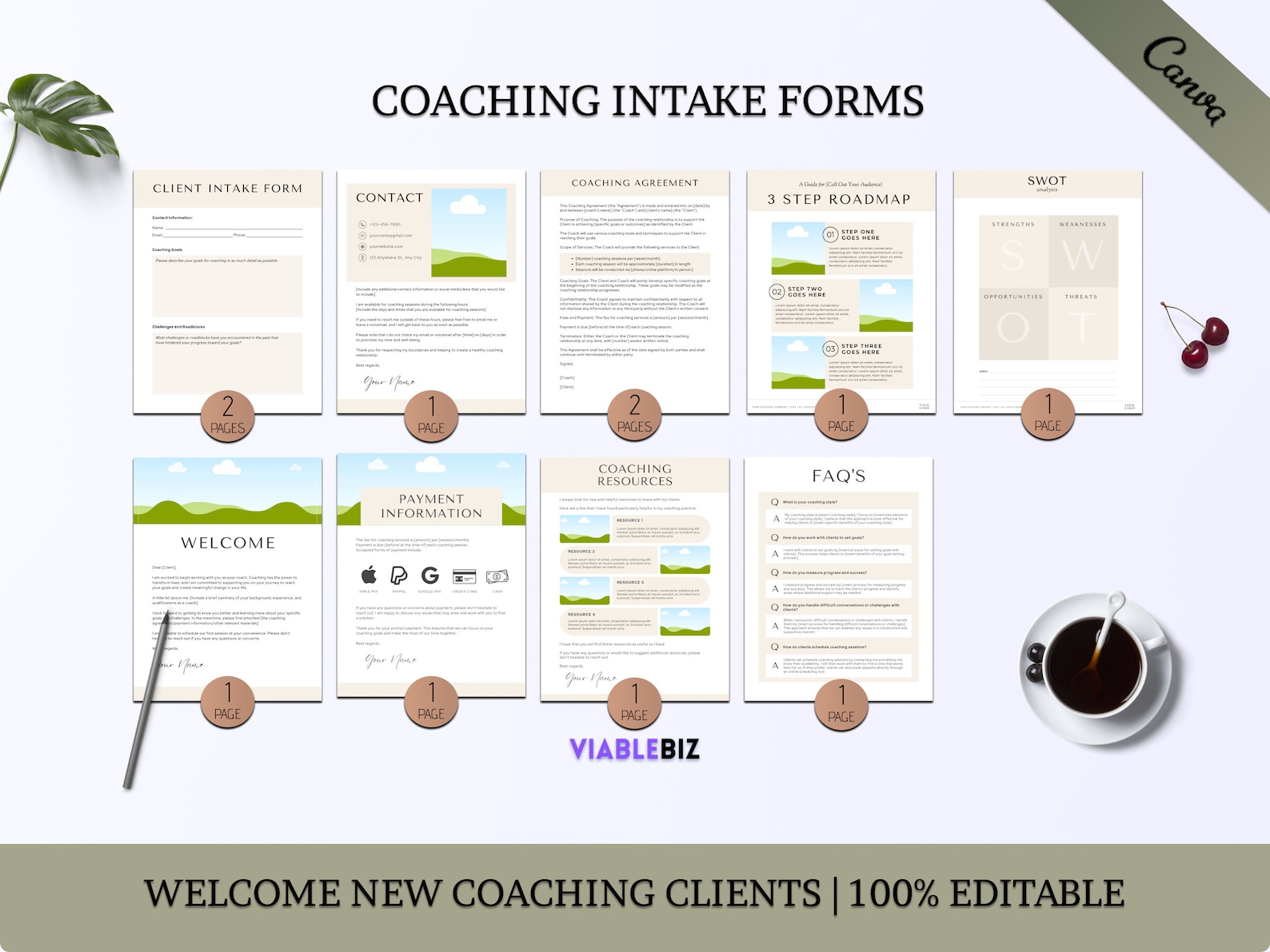 Life Coach Intake Forms, Coaching Templates, Coaching Worksheets, Coach ...
